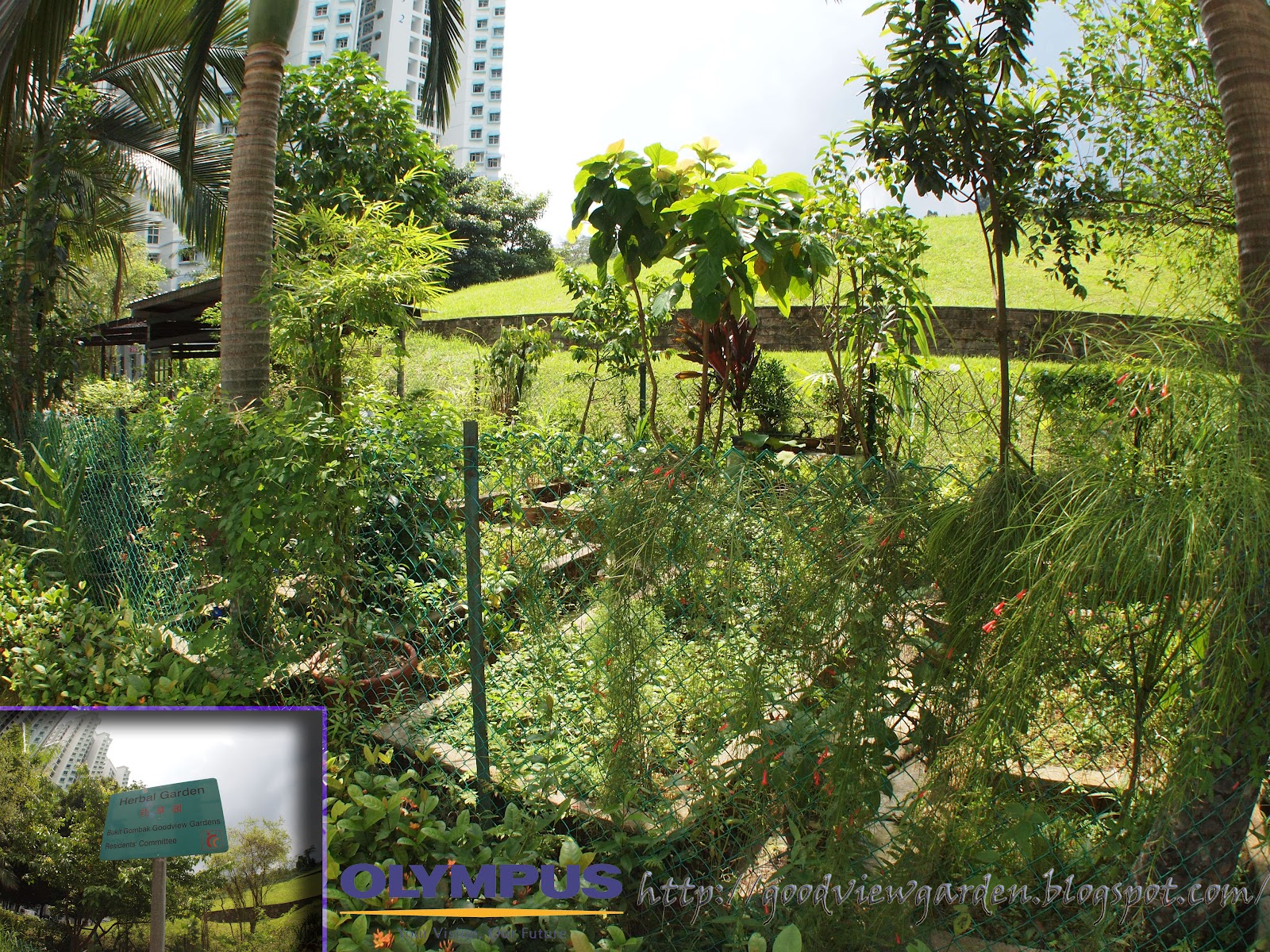 Goodview Garden @ Bukit Batok West Ave 5: Facilities at Goodview Garden