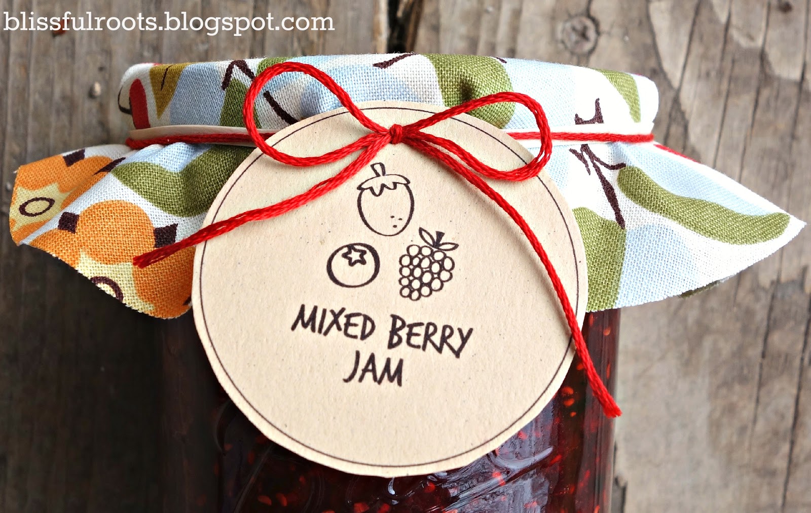 BLISSFUL ROOTS: Homemade Triple Berry Jam