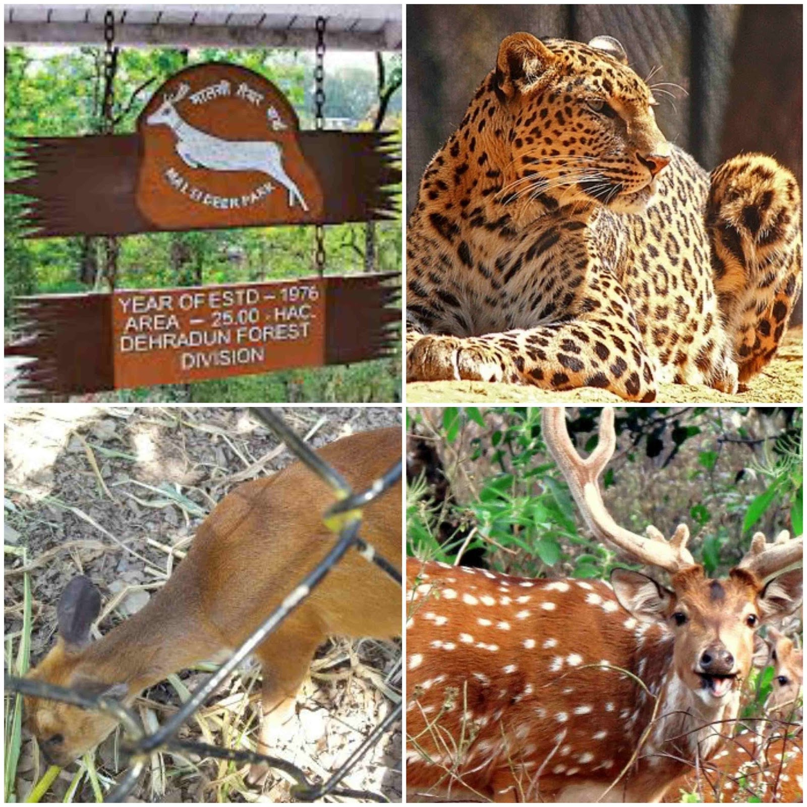 5 Places for Nature Lovers in Dehradun