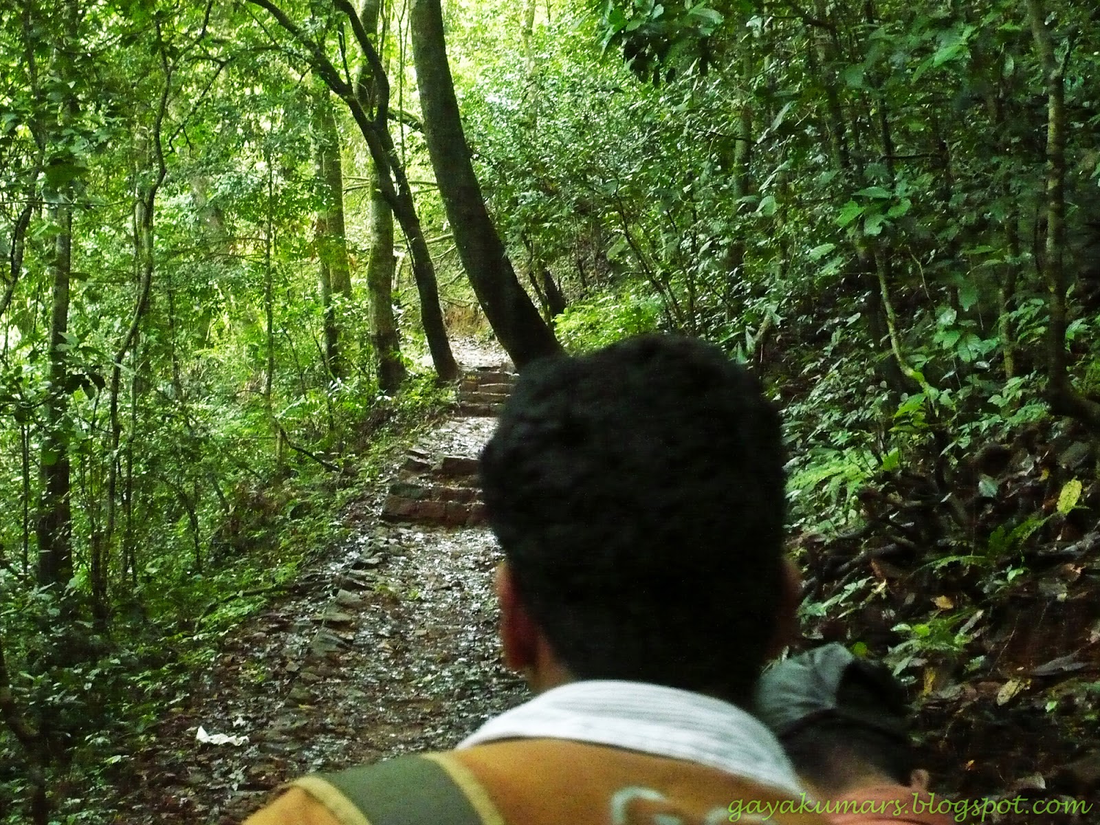 A Trip To PaithalMala: PaithalMala / Vaithalmala