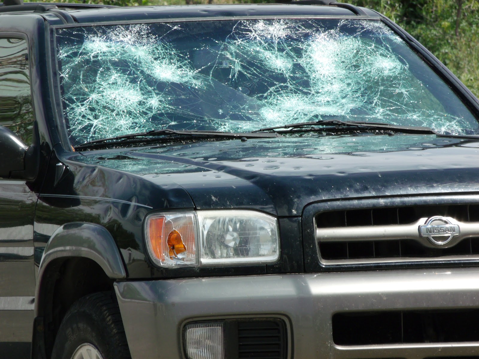 Merry Lee We Roll Along: A Travelblogue: Cardstin Alberta