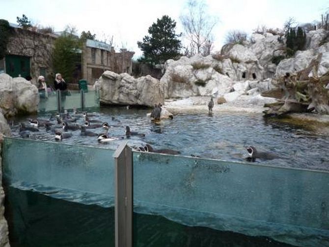 Amazing World: The Coolest Zoos From Around the World