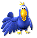 Animation Bundle: Animated Parrots Chirping About Parrot Gif and Parrot ...
