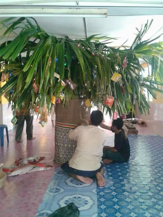 RedParrot: “RANYAI”