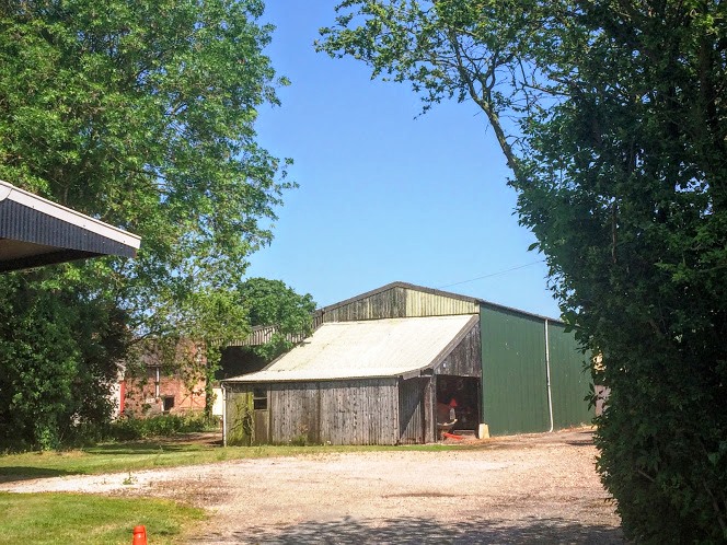 CME Limerick & Killaloe: Readings, hymns and sermon ideas for Sunday 19 ...