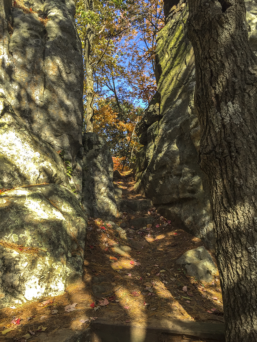 The Black River Forest - Hiking to Castle Mound