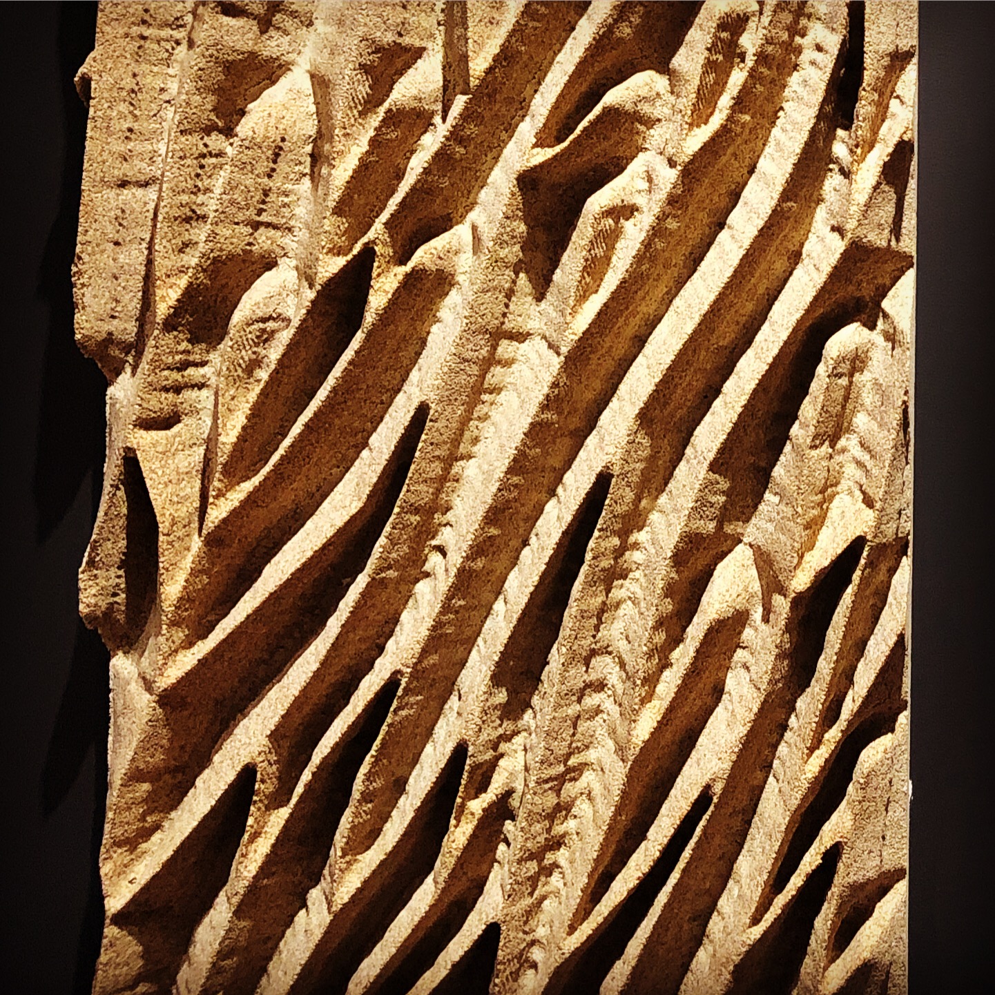 Marcos Cruz Architect