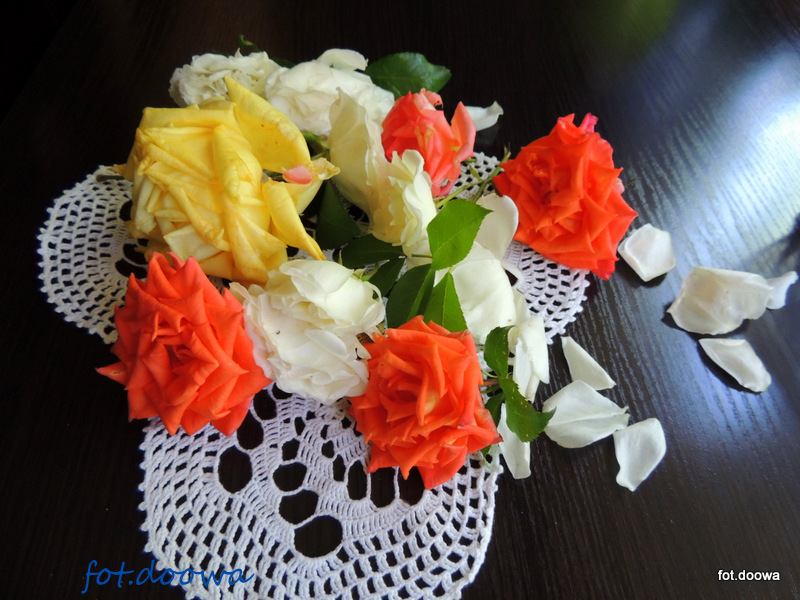 Rosolio - włoska nalewka różana - Moje Małe Czarowanie - Dorota ...