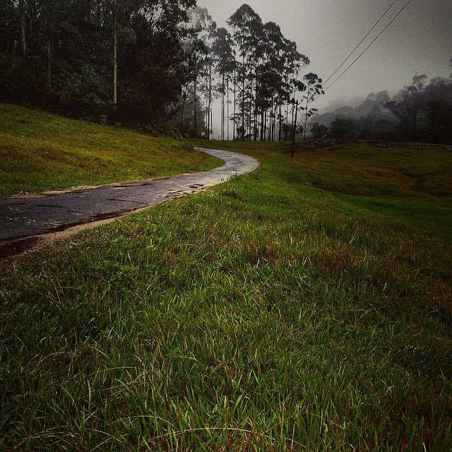 Tamilnadu Tourism: Manjolai Hills, Thirunelveli