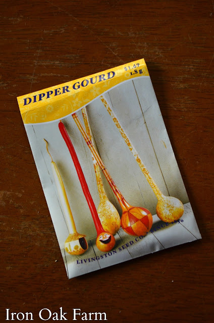 Iron Oak Farm: Dipper Gourd