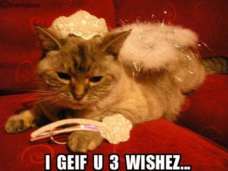 Pudicat Blog: Cat Humour