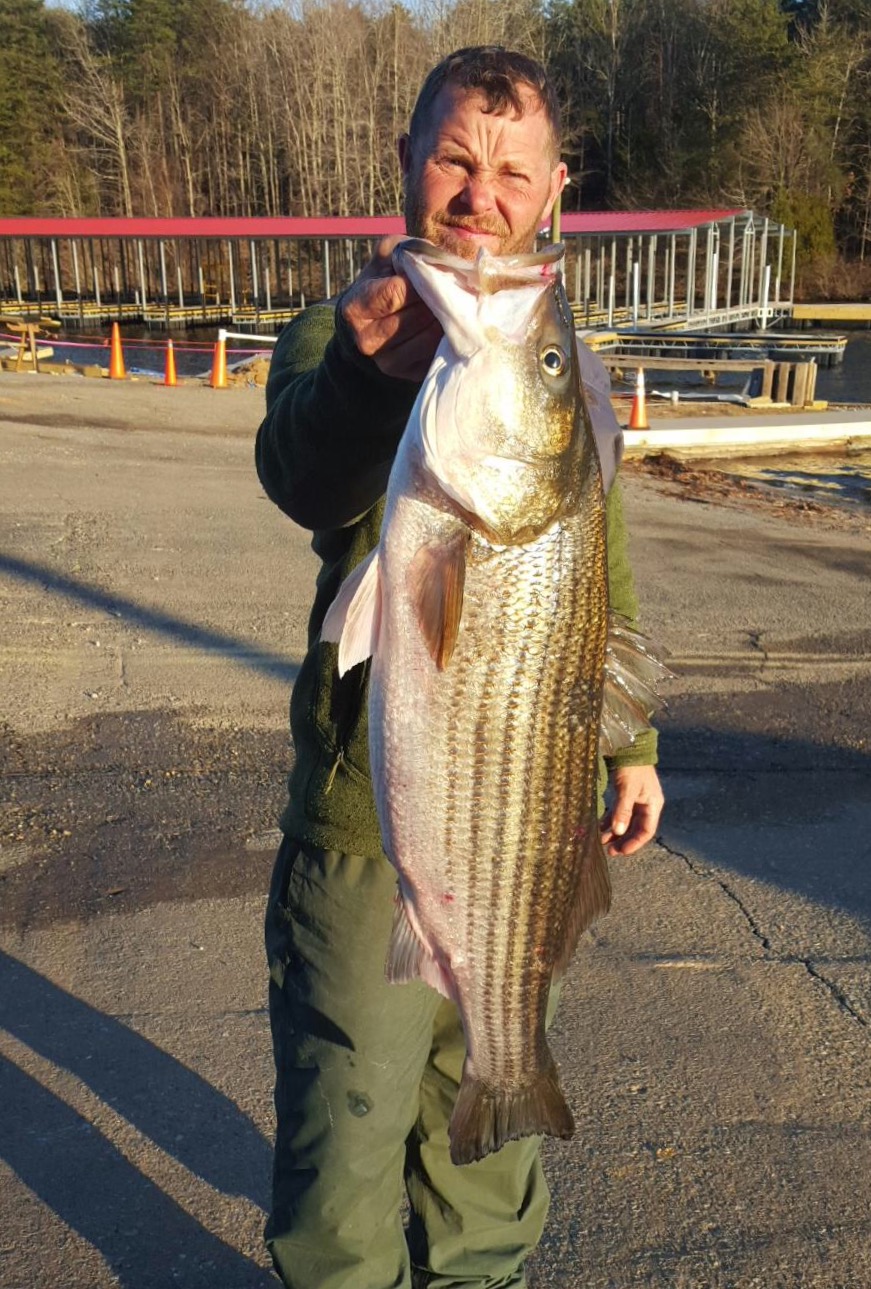 Lake Anna Striper Guide Journal: 'Tiss the season for BIG 'UNS