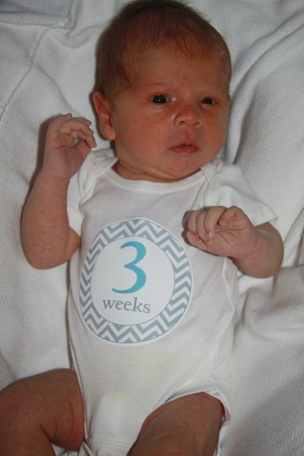 The Evolving Elseners: Three Weeks Old