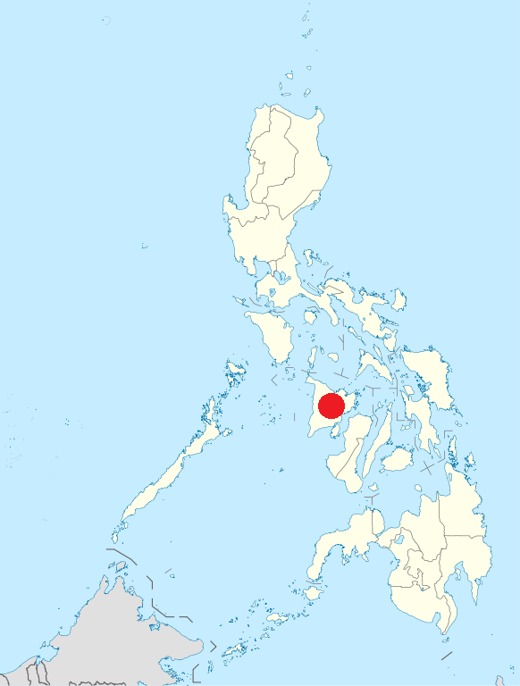 BSJ Blog (English Version): Searching for "Romeo" in Panay, Philippines