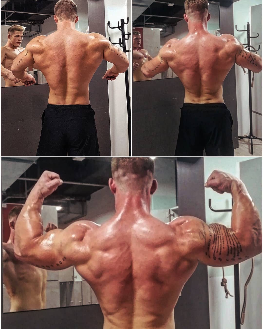 the beauty of male muscle: Alexander