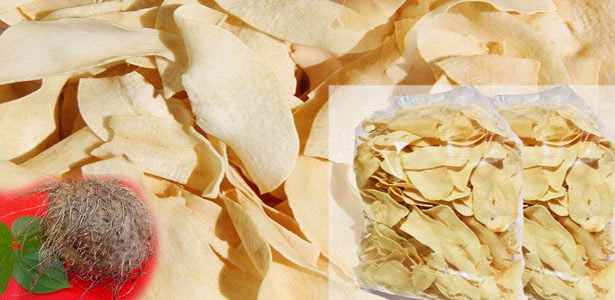 Aneka Makanan Dan Minuman khas Kediri: ubi Gadung Bulbs Benefits And Danger