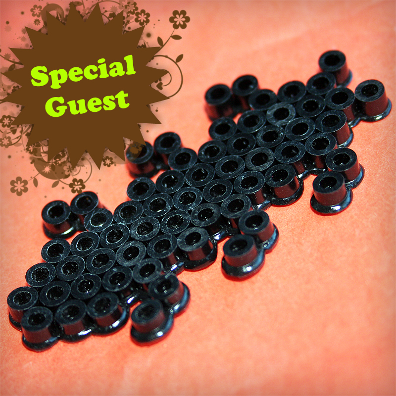 Ant a Day (no ants will be harmed in the making of this blog)