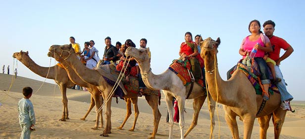 Travel to India Tour With Camel Safari In Rajasthan