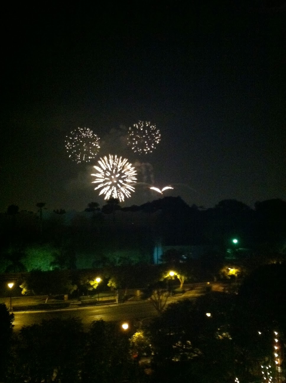 Disneyland: Hidden Mickeys