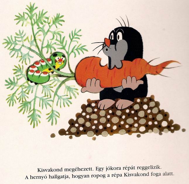 Boldogbaba: Mesekönyv - Kisvakond (több)