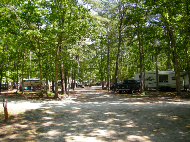 kamping with our kids