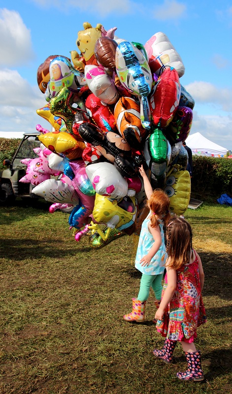 A Brilliant Day at Buckham Fair