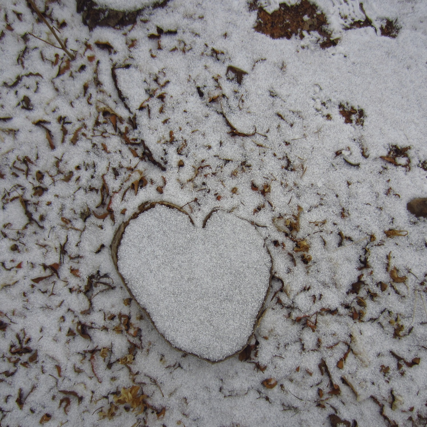 Full Hook Ups: Big (Sur) News!