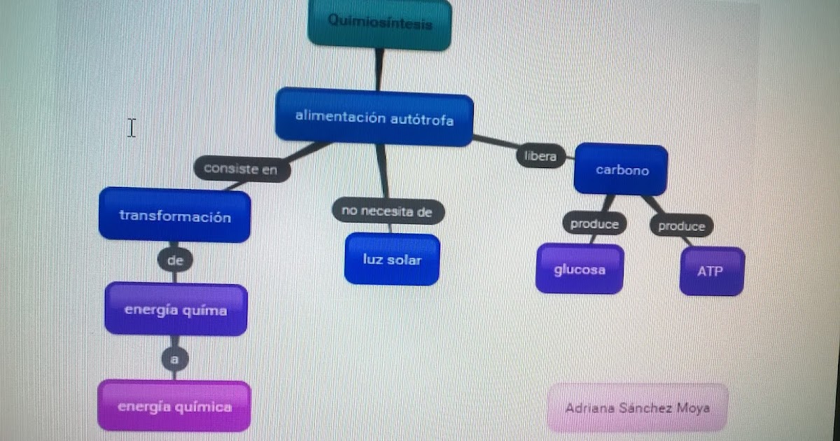 Biología III Sánchez Moya Adriana 523: Mapa conceptual: Quimiosíntesis