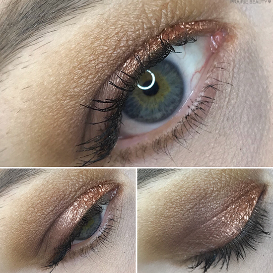 REVIEW: Rude Cosmetics Book 5 35 Pan Eyeshadow Palette - Prairie Beauty