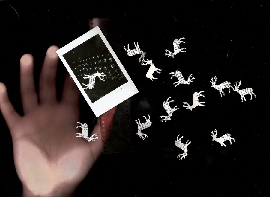 Basic New Media UTSA: Scanography Examples