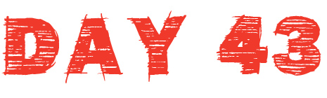 Whimsy & Life 365: Day 40 &43