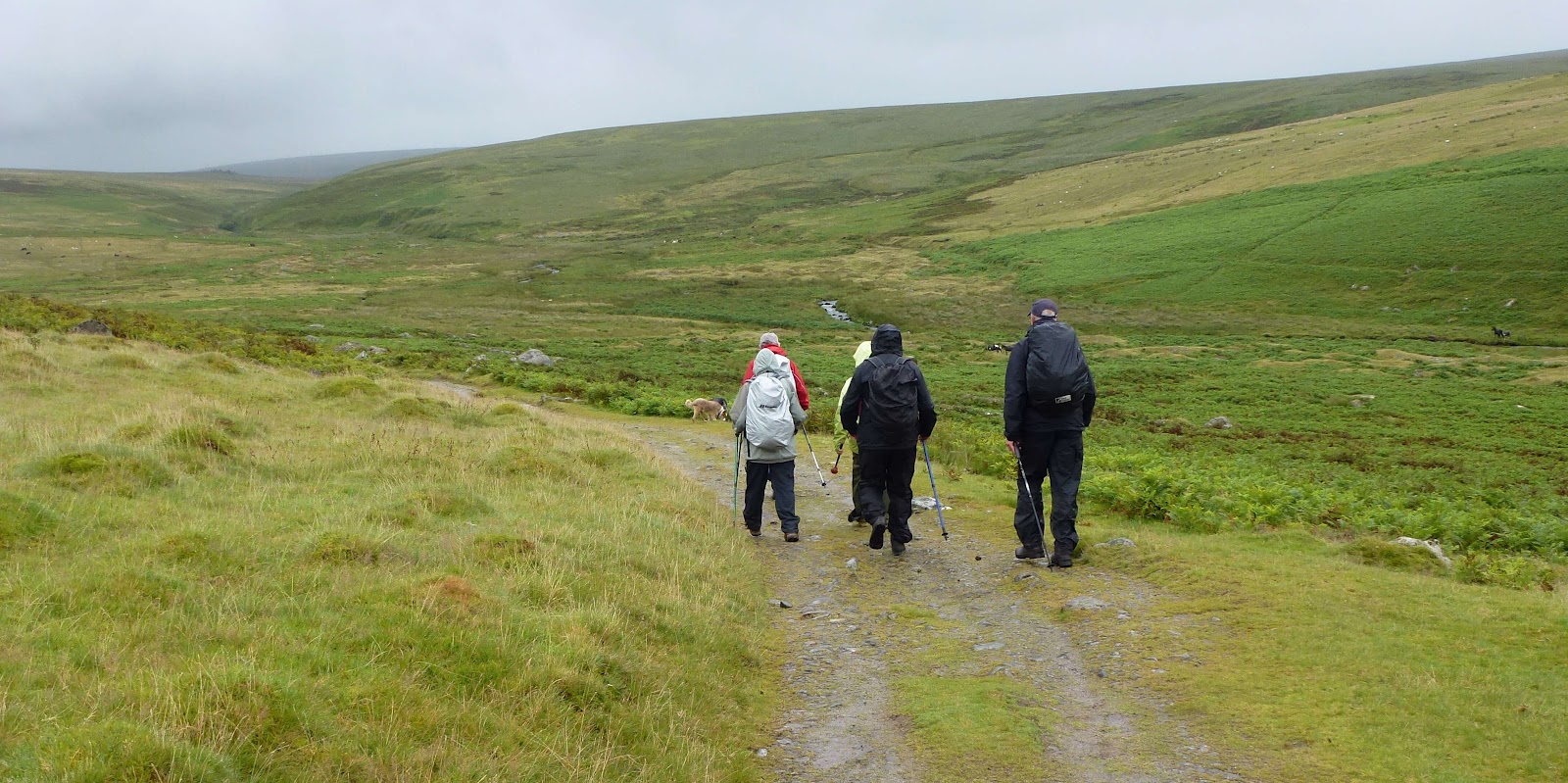 My Dartmoor Walks: Tuesday 7th August Gutter Tor