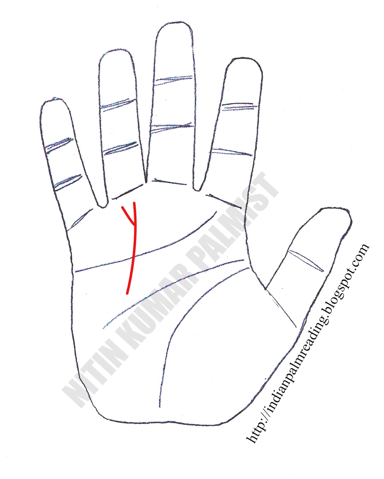 Forked Sun Line On Mount Of Sun In Palmistry ~ INDIAN PALMISTRY | PALM ...