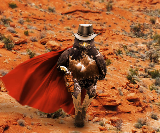 Flaming Zombie Monkeys