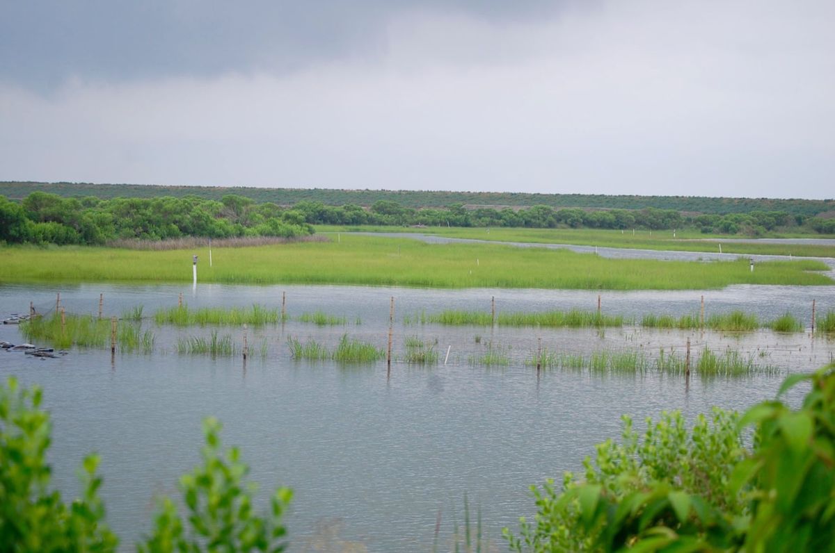 A View from the Beach: Poplar Island Rebuild Project Progresses