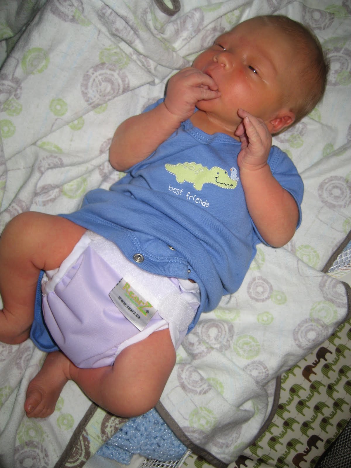 Welcome to my (Cloth Diaper) World: Diaper Reviews