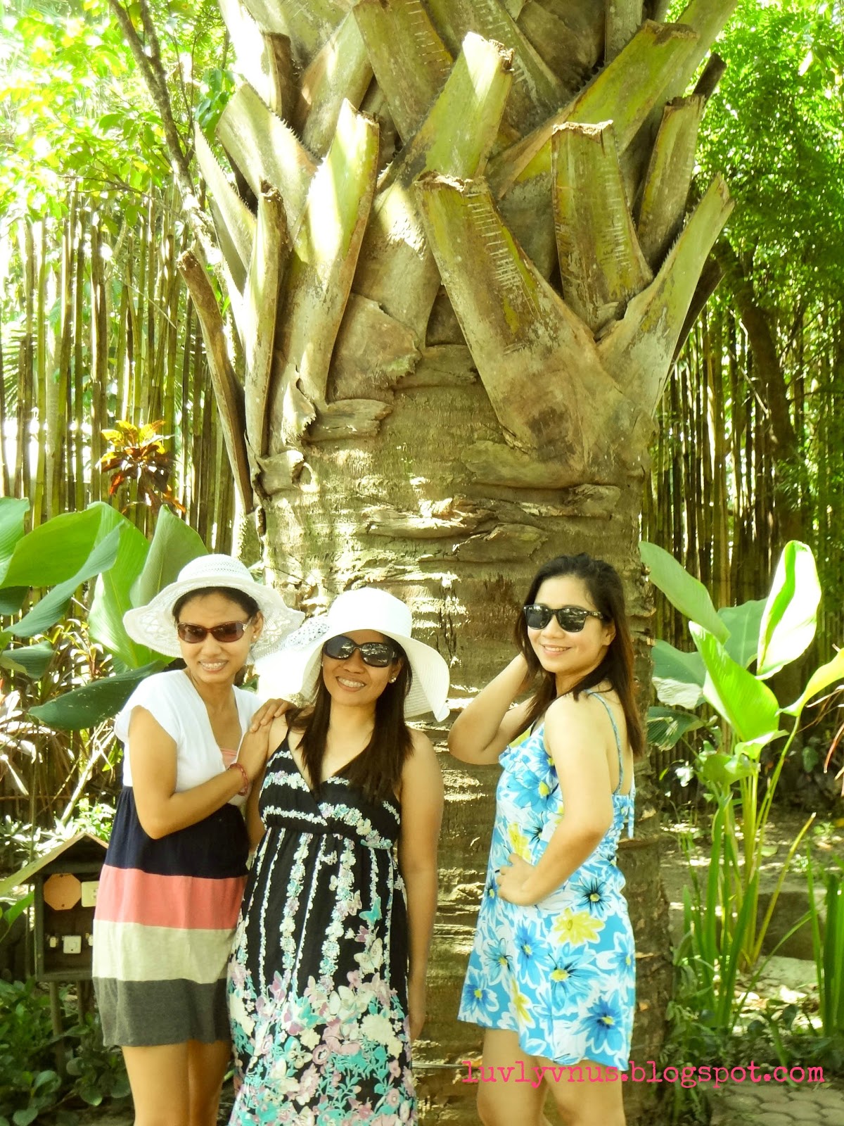 Hacienda Darasa Garden Resort Hotel | My Wanderland