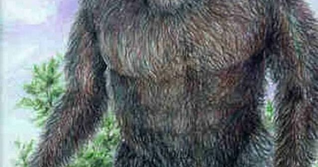 Cryptid News Round-Up - 7/08-7/14