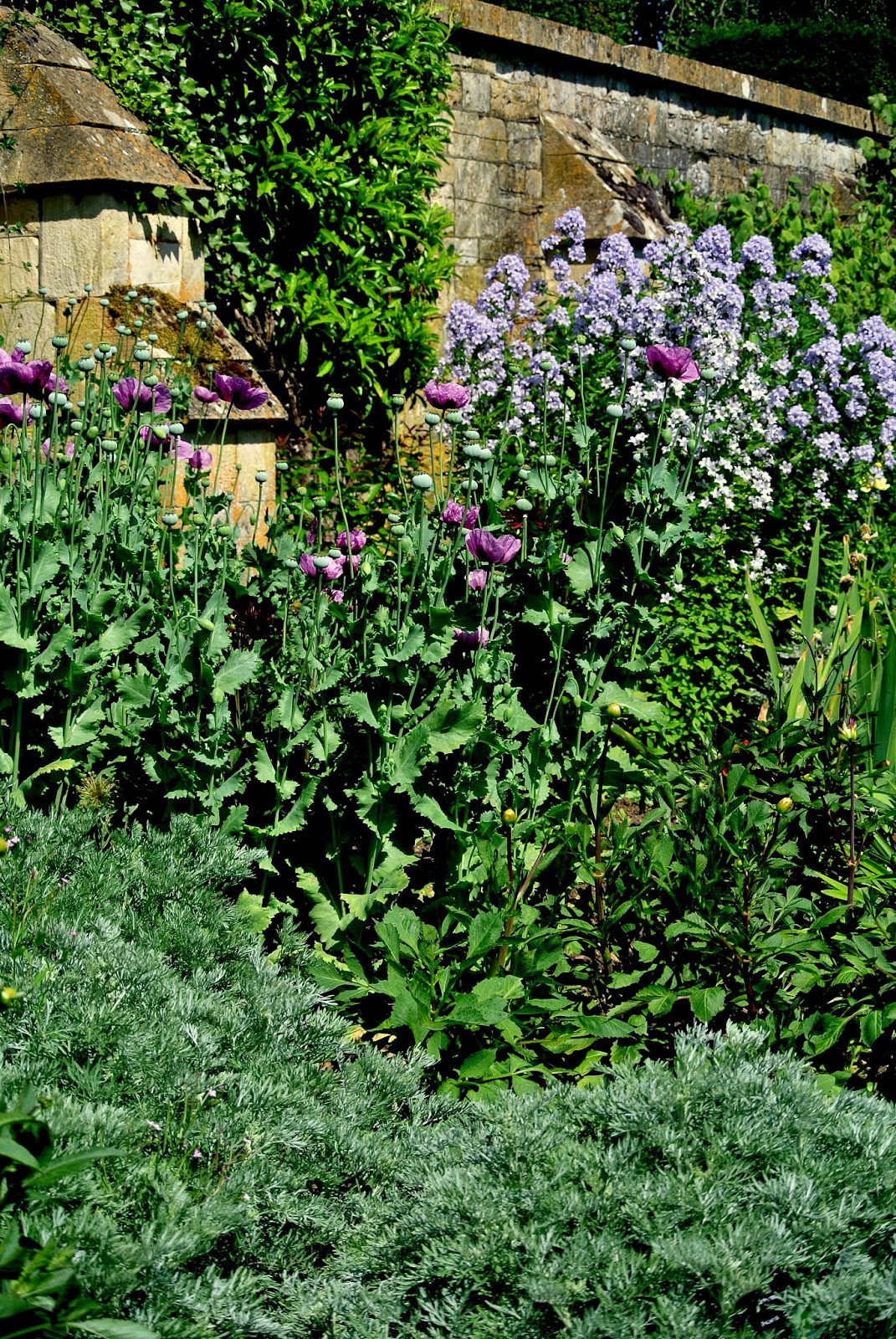 HAVETID: Engelske haver 4. del.