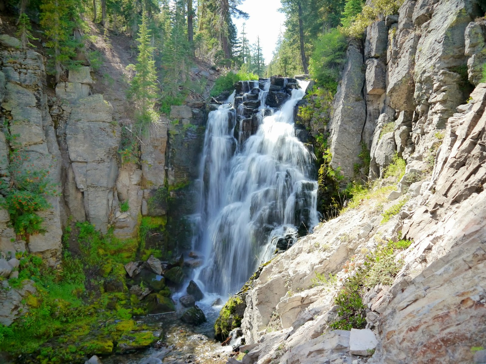 American Travel Journal: Kings Creek Falls - Lassen Volcanic National Park