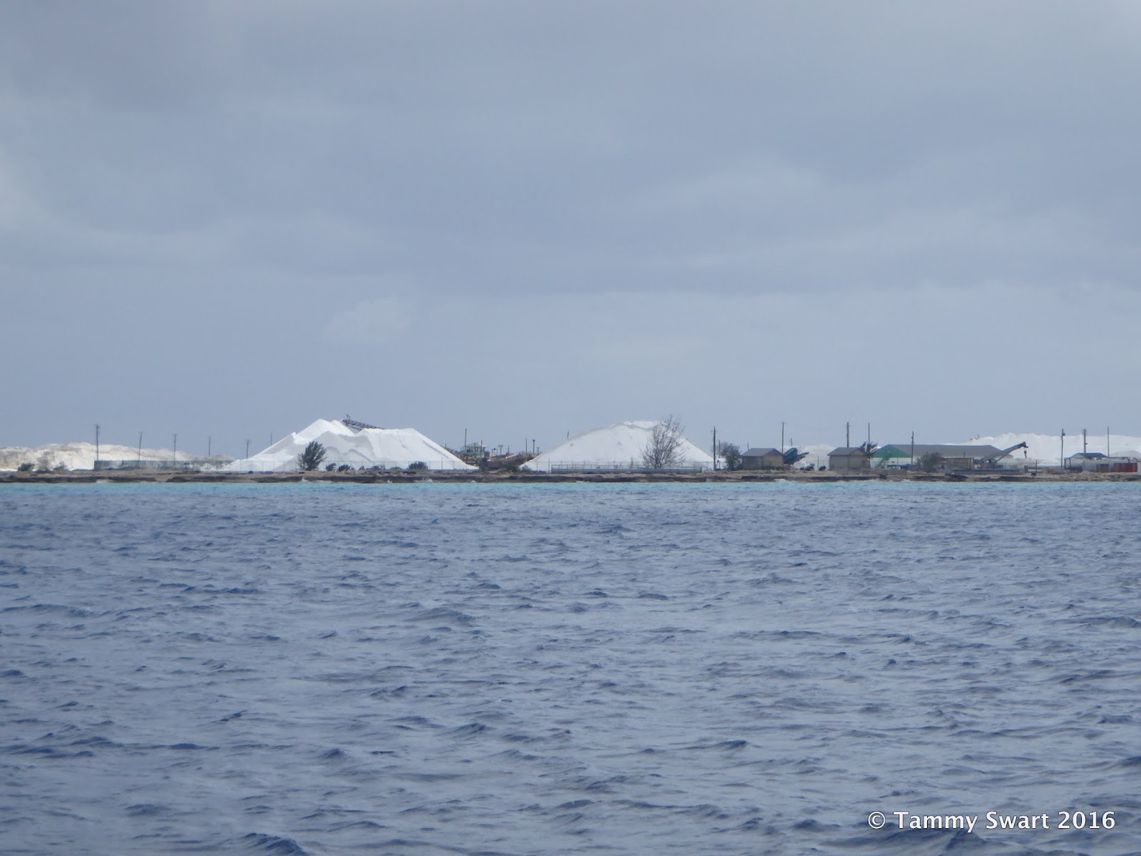 Things we did today...: Great Inagua Far Bahamas