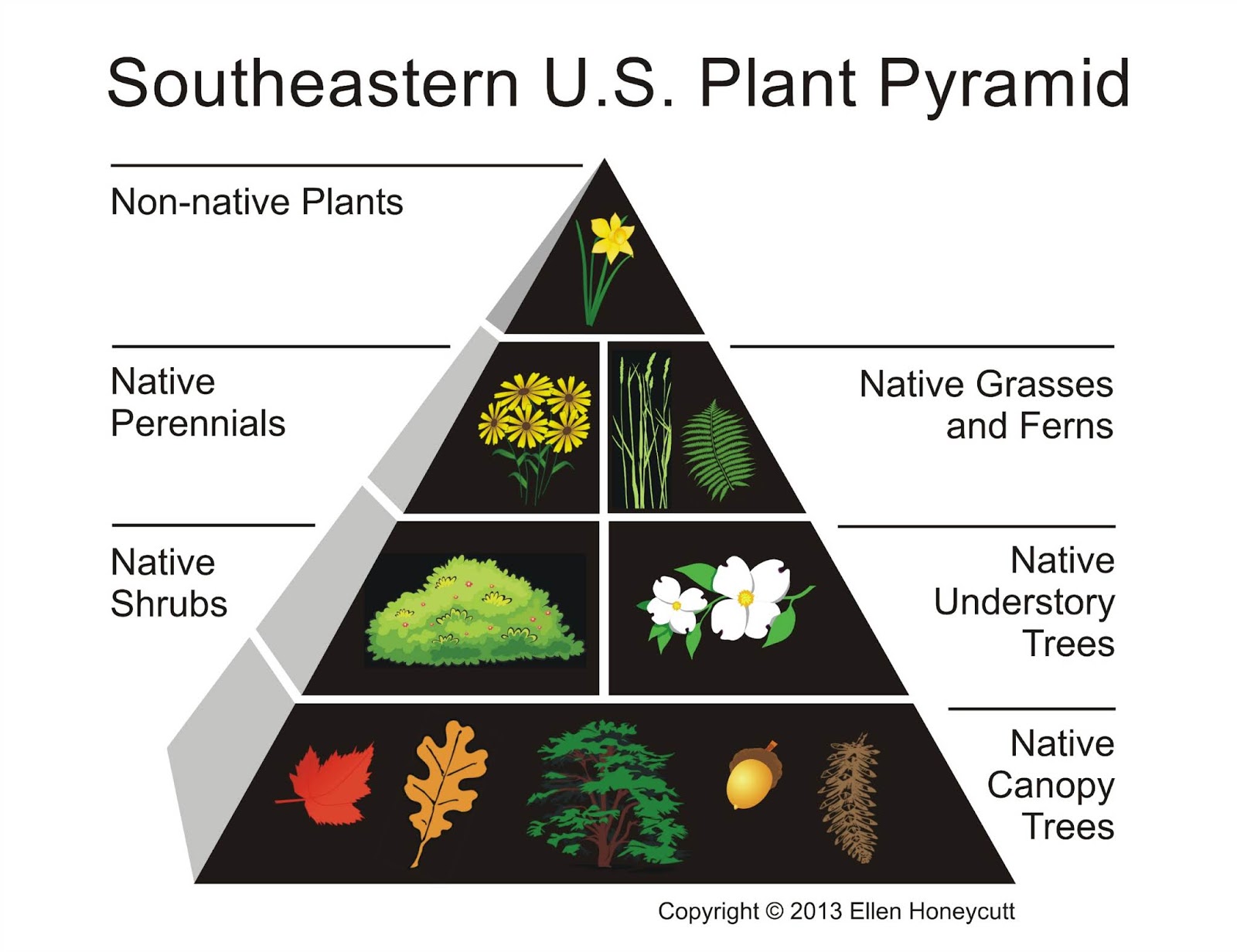 Using Georgia Native Plants: Native Landscape Pyramid