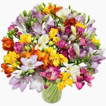 Chez Lilwenna: Freesias