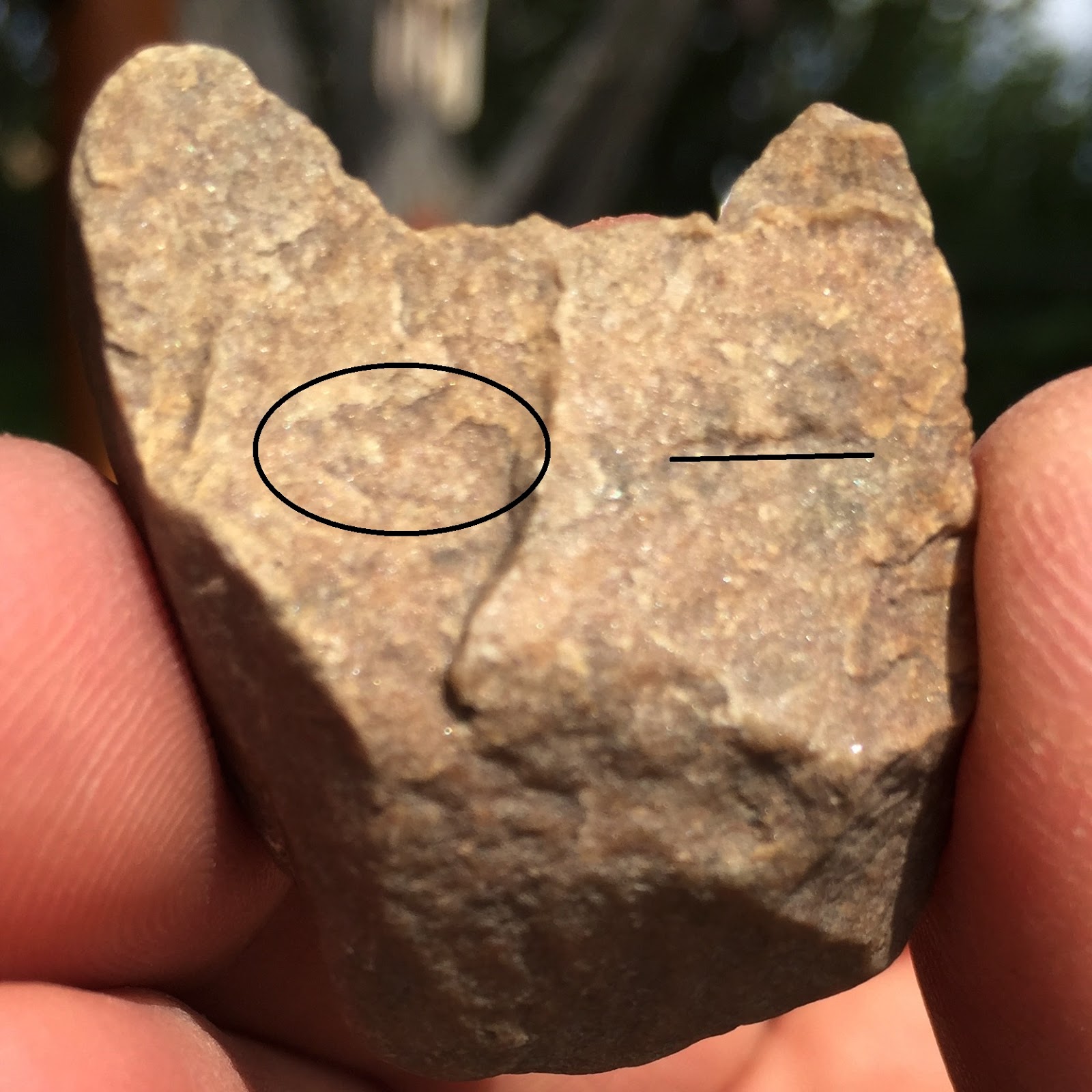 Archaeology of Portable Rock Art