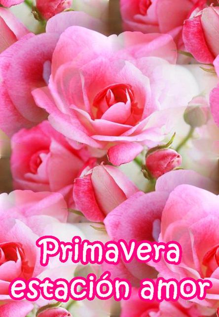 ZOOM FRASES: flores con mensaje o saludo de feliz primavera
