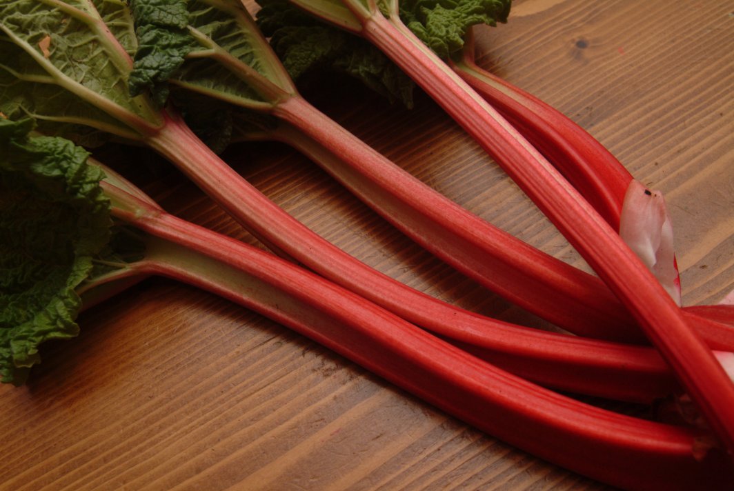 The Irish Food Guide Blog