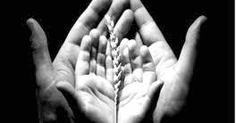 Imperfecto, inconcluso