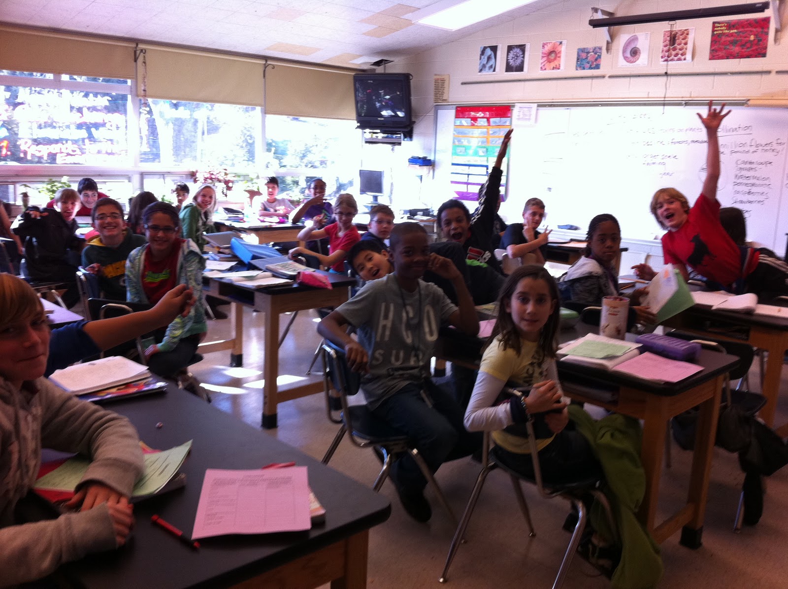 The Buzzness of Bees