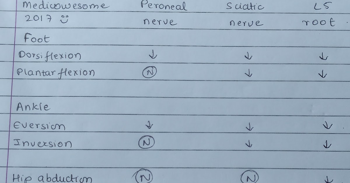 Medicowesome: Differentiating peroneal neuropathy, sciatic nerve injury ...