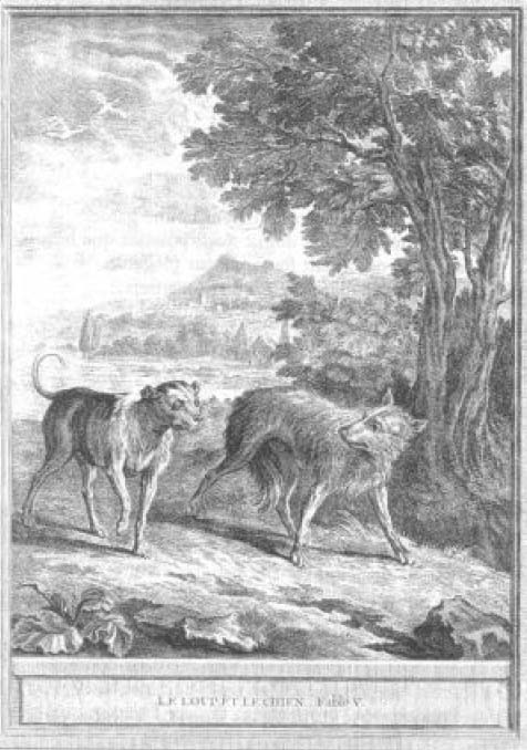La Toile à Nolwenn: Le loup et le chien